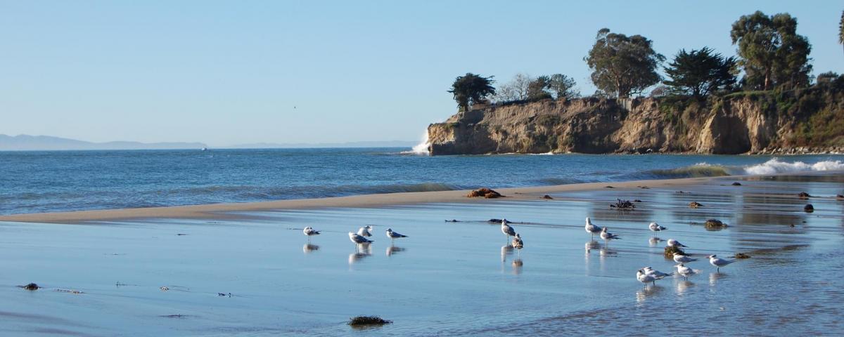 About the Project | Explore Beaches